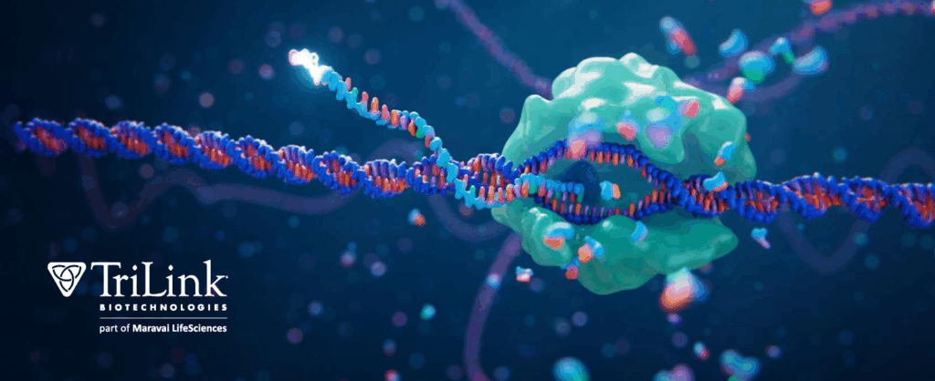 TriLink – CleanCap® M6 IVT Kit, High Yield - Abacus dx