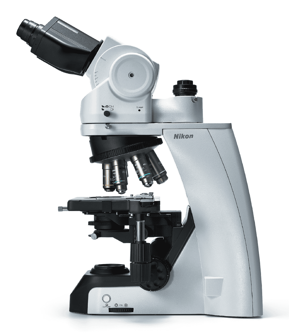 Nikon Eclipse Ci-L Plus Upright Microscope - Abacus dx