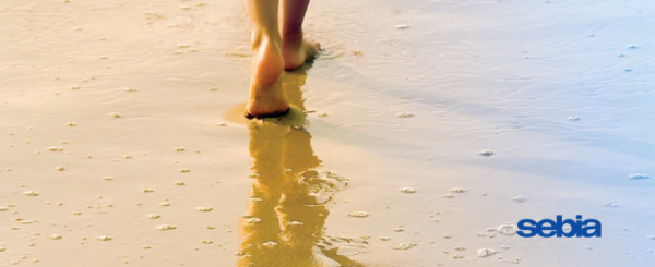 SEBIA: ASSIST Module - Abacus dx