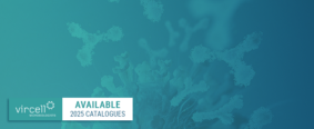 Vircell 2025 Catalogues - Molecular Biology & Infectious Immunology ...