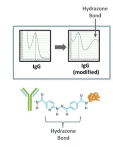 Vector SoluLINK - Abacus dx